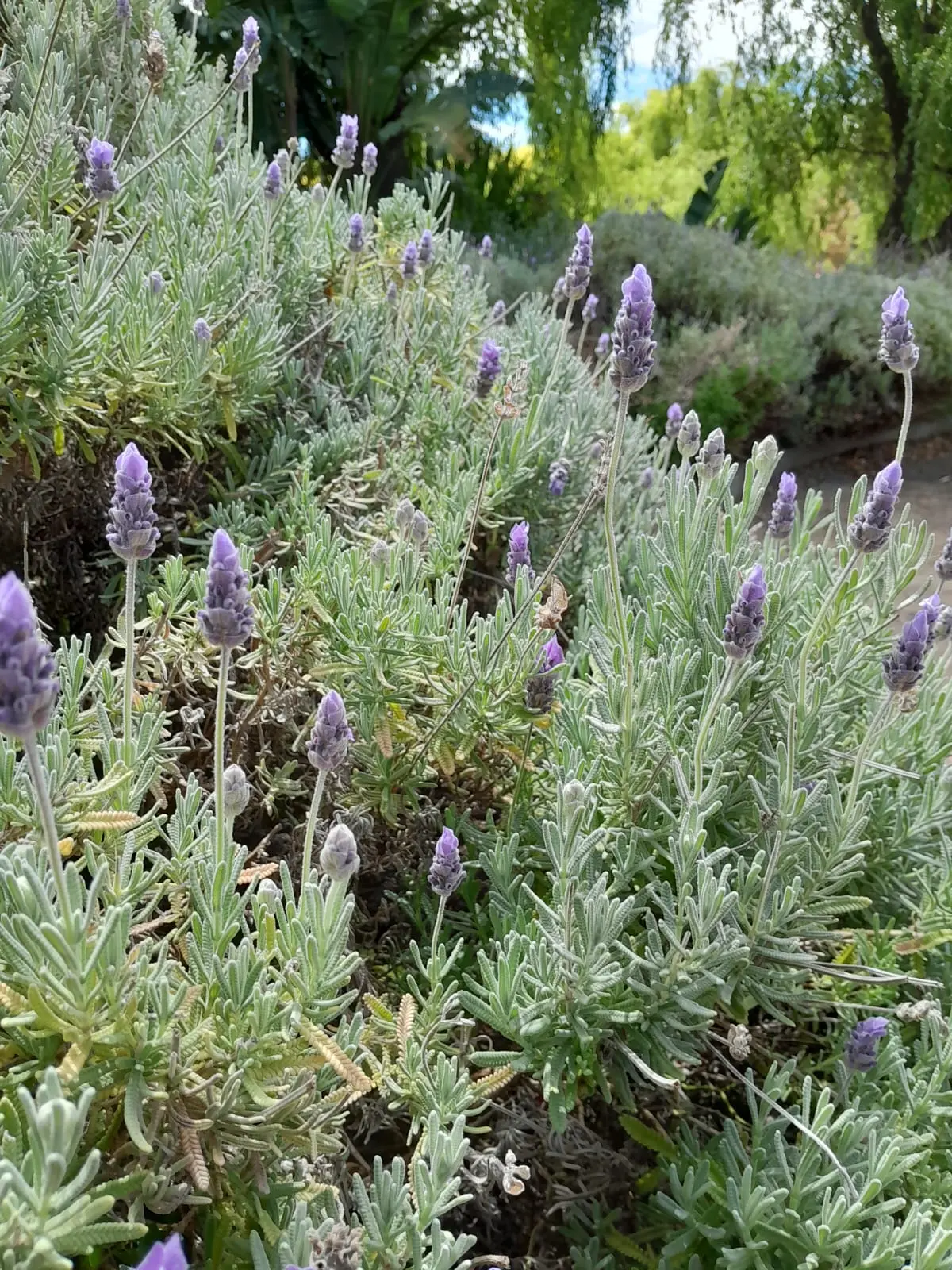 Relieving Stress and Burnout | Melbourne Care Services